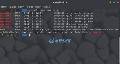 如何使用 grep 命令在 Linux 中搜索文件 系统极客