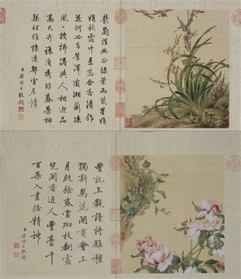 郎世寧花鳥圖冊高清大圖北京故宮博物院藏 每日頭條