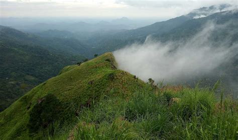 11 Best Places To Visit In Dandeli Karnataka
