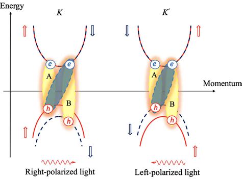 The Schematic Band Structure And Electronic Dispersions In The Tmdc