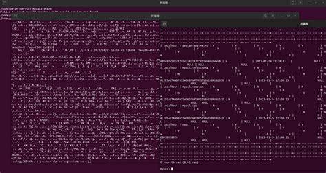Redis Uses Its Own Protocol To Communicate Between Redis Server And