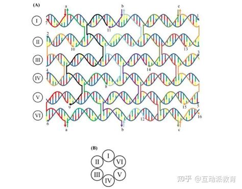 请大数据把这篇推给md模拟进阶选手 知乎