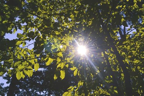The Sunshine Vitamin Vitamin D Your Skin Manufactures Vitamin D When