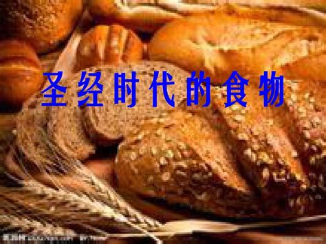圣经时代的食物word文档在线阅读与下载无忧文档