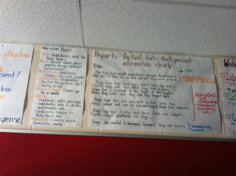 Grade 2 Report Writing 2nd Grade Writing Report Writing Writing