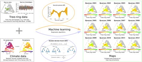Predicting Spatiotemporal Variability In Radial Tree Growth At The Continental Scale With