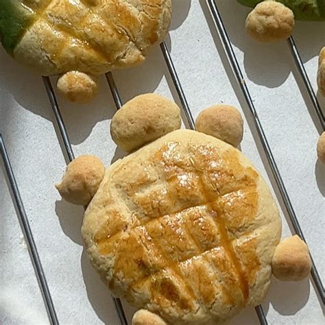 룩에듀아트 아동미술•디지털드로잉 교육 연구컨설팅 쿠킹아트 🐢거북이 마가렛 쿠키 거북이빵을 만들고 싶었다가 아이들이