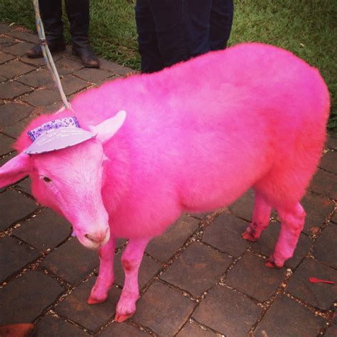 Pin Em Мой Инстаграм Aniversario