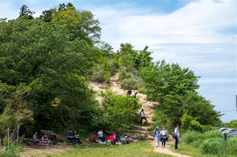 ハイブリット Linux Apache Mariadb Python ブログ