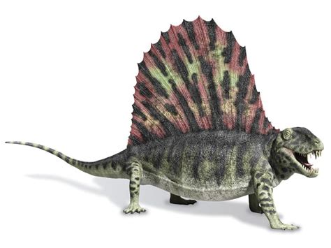 Permian Fossils And Global Flood Unraveling Evolutionary Mysteries