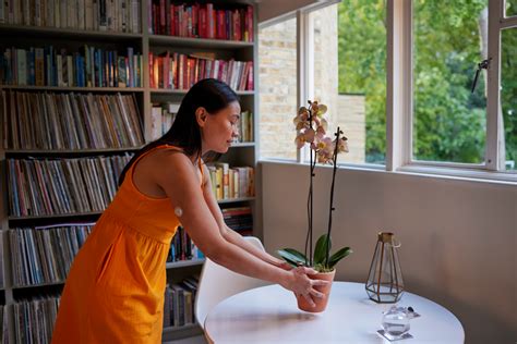 Dexcom One Senzor 1 Buc Dexcom Cgm Cgm Diabet Romania