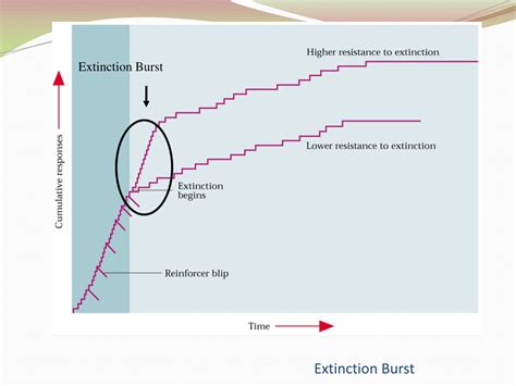 Ppt Behavioral Extinction Principles Procedures And Misconceptions