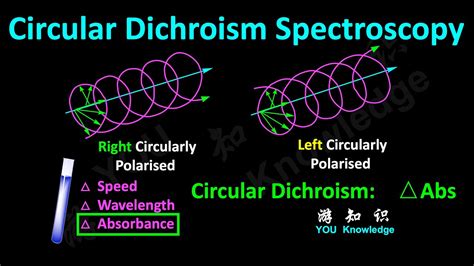 Circular Dichroism Spectroscopy Circularly Polarized Light Chiral Molecule Conformational