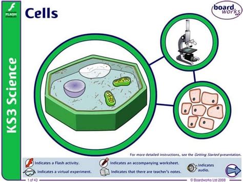 Cambridge Igcse Biology Cells Structures And Functionspptx Biological
