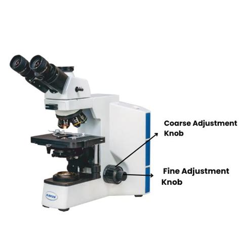Coarse And Fine Adjustment Knob Microscope Functions