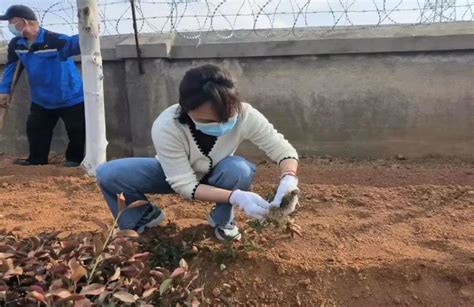 艺术设计系党总支开展 “植树添新绿，聚力增春色” 义务植树主题党日活动 欢迎来到艺术设计系