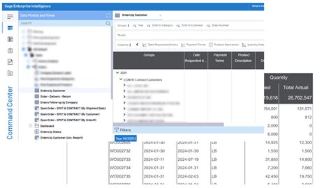 Sage Enterprise Intelligence SEI GerminIT Innovation