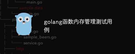 Golang函數記憶體管理測試用例 Golang Php中文網 Golang函數記憶體管理測試用例 Golang Php中文網