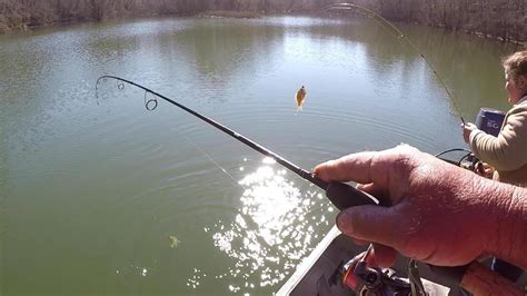 Huge Bluegill And Shellcracker Fishing With A Hair Jig And Worm