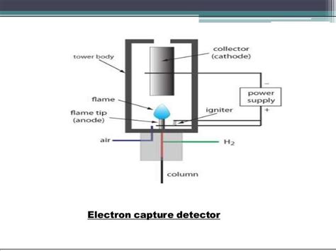 Detectors Used In Gas Chromatography And Hplc By P Ravisankar