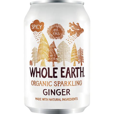 Bibita Gassata Ginger Senza Zucchero Probios 330 Ml Coop Shop