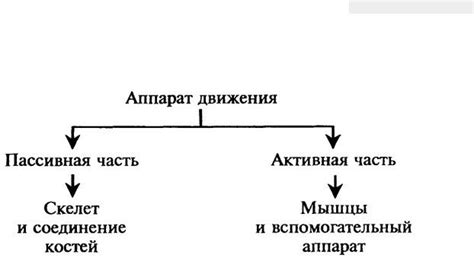Общая остеология