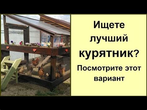 Курятник для дачи не только "2 в 1": строительство и обустройство ...
