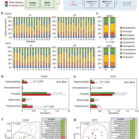 Shotgun Metagenomic Sequencing Of The Representative Samples A
