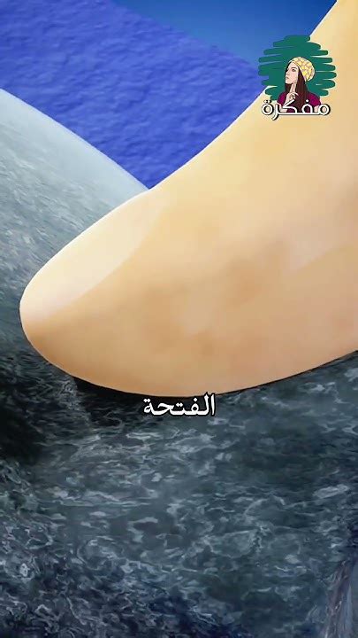 هل سمعت من قبل عن الإبريق القاتل؟😨💀 Youtube