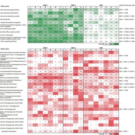 Heatmap Showing The Dominant Bacterial And Archaeal Taxa In The Download Scientific Diagram