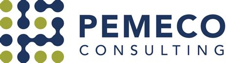 Pemeco Erp And Technology Consulting Services