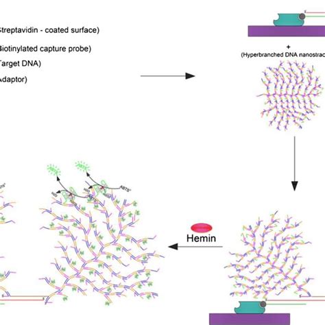 Analytical Framework Of The Hyperbranched Dna Nanostructure Based