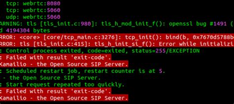 kamailio nick vs networking