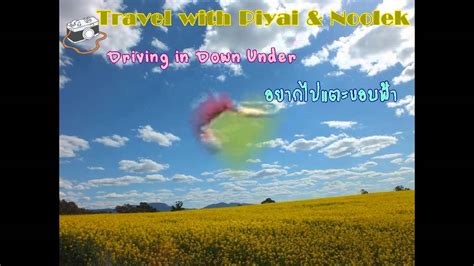 เพลง จะออกไปแตะขอบฟ้า Youtube