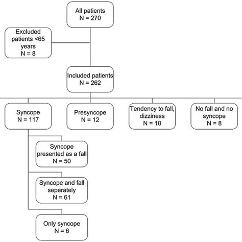 Schema Of The Structured Fall And Syncope Day Clinic Fsdc Care