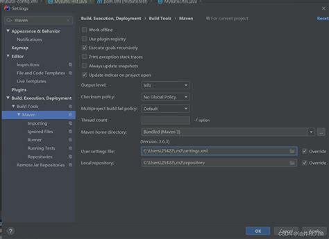 mybatis项目中pom xml的maven库配置文件报错 org kd mybatis tool box jar 1 0 m1在pom xml文件报错 csdn博客