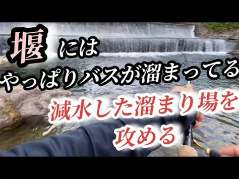 50 関東バス釣りポイント堰にはやっぱりバスはいる減水した溜まり場は間違いない YouTube