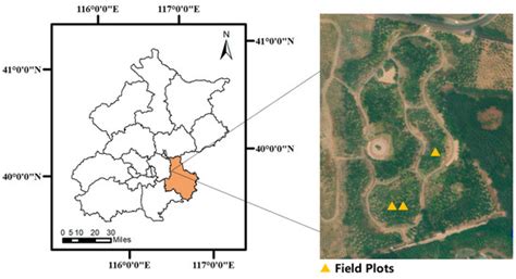 improved tree segmentation algorithm based on backpack lidar point cloud
