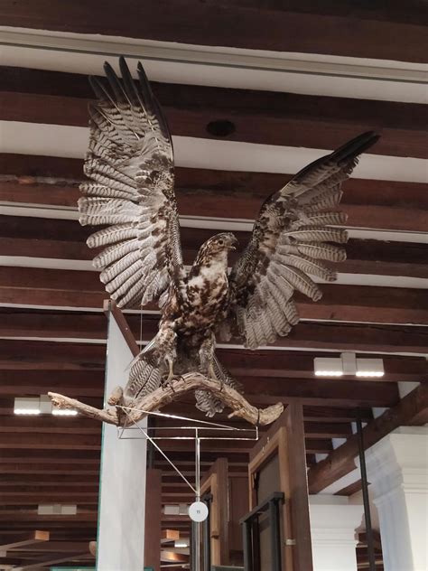 Alejandra Leon Fotografia