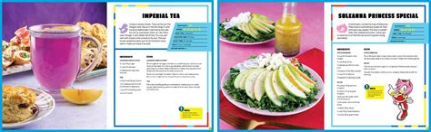 Sonic The Hedgehog The Official Cookbook Rosenthal Victoria Flynn Ian 9798886631272 Books