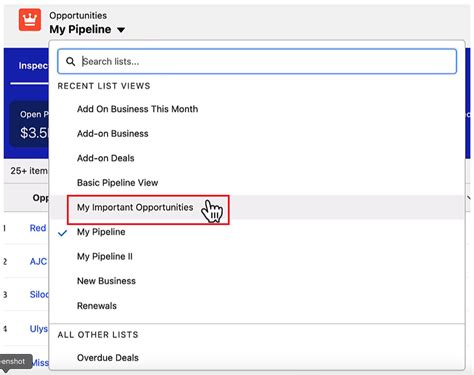 An Overview Of Salesforce Pipeline Inspection Salesforce Resources
