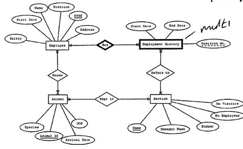 Solved Based On The Er Diagram Above Create The Database