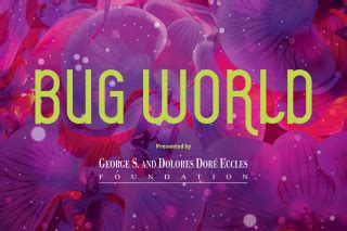 Bug World Natural History Museum Of Utah