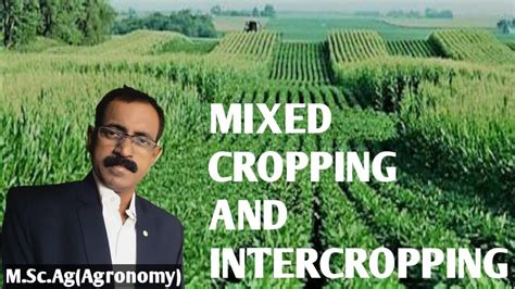 Mixed Cropping