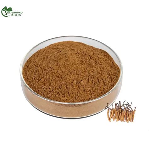 Mushroom Extract Mushroom Extract Powder
