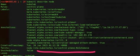 Photon Os 50 And Kubernetes 125 Woohoo Services Blog