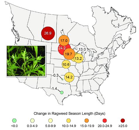 Ragweed Pollen Season Length Has Increased In Central North America