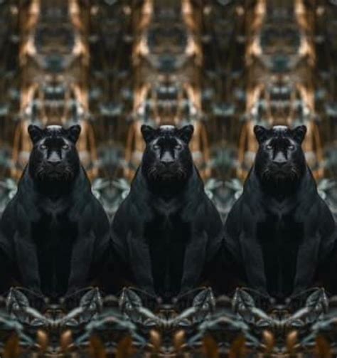 a k kuykendall posted on linkedin