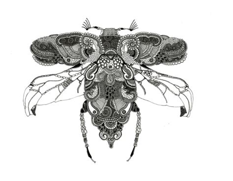 Insects By Rosalind Monks At Coroflot
