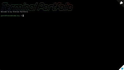 Codepen Interactive Terminal Portfolio Freecodecamp Codepen Interactive Terminal Portfolio Freecodecamp